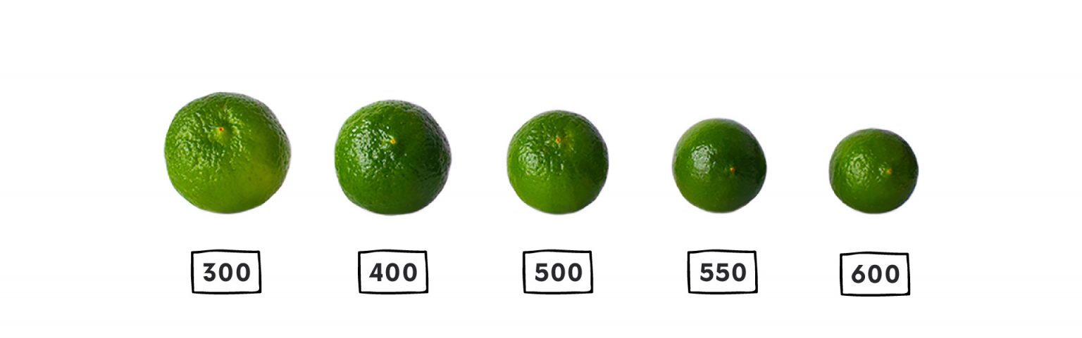 Learn about Our Premium Limes | Limonik